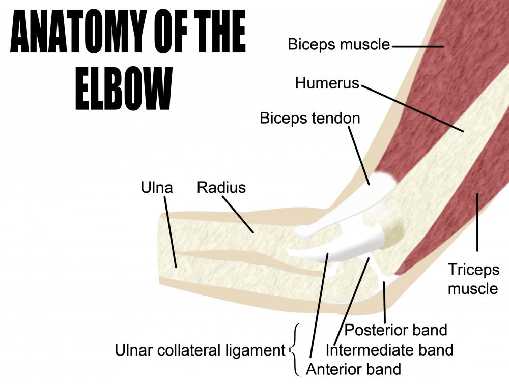 What Is Golfer's Elbow? (with pictures)